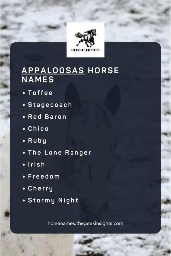 450+ Western Horse Names - Horse Names