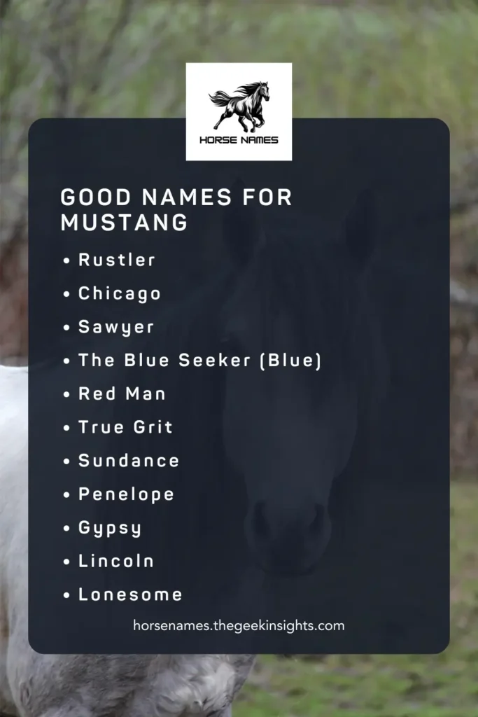 450+ Western Horse Names - Horse Names