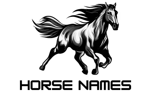 Shire Horse Coat Colors Guide: Variations, Care & Tips - Horse Names