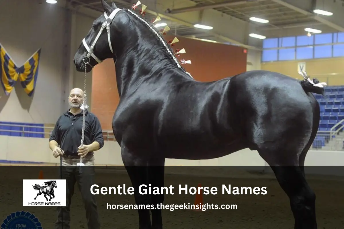 Gentle Giant Horse Names - Horse Names