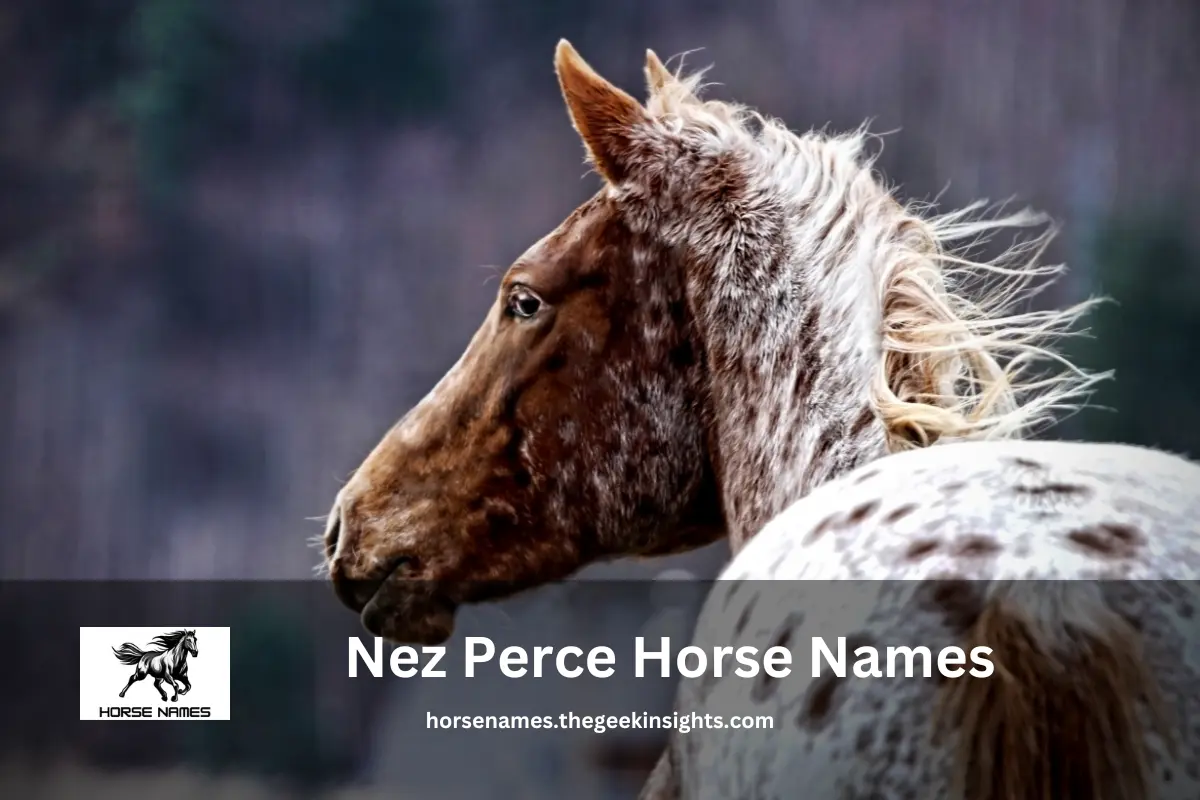 Nez Perce Horse Names: Native American heritage