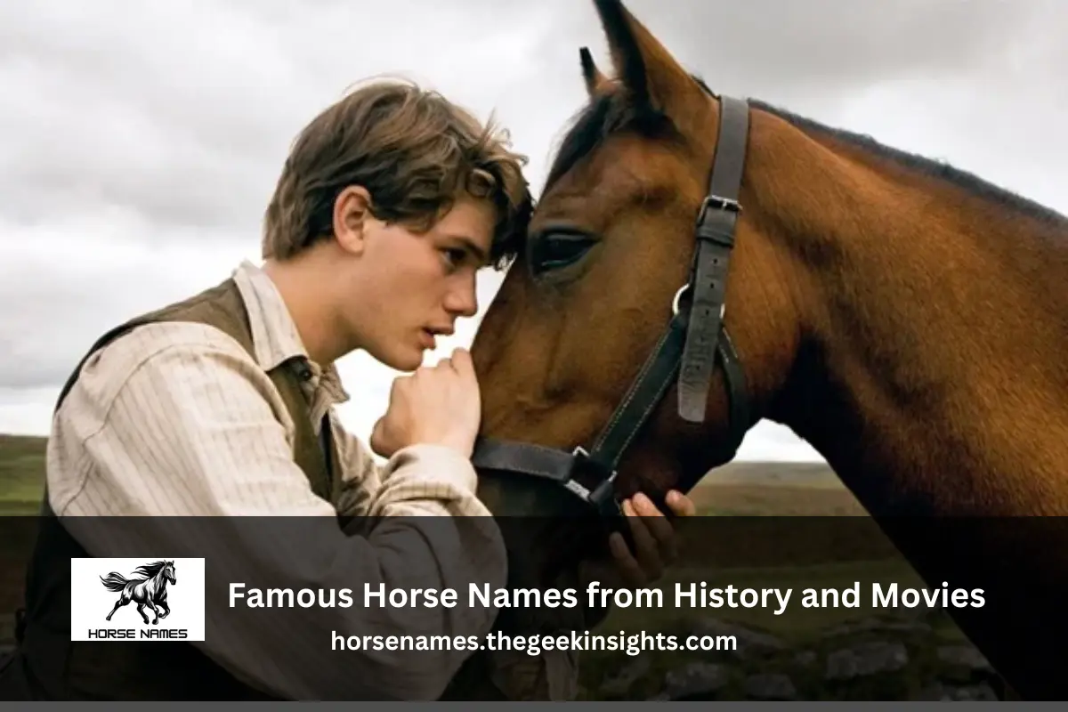 Famous Horse Names from History and Movies - Horse Names