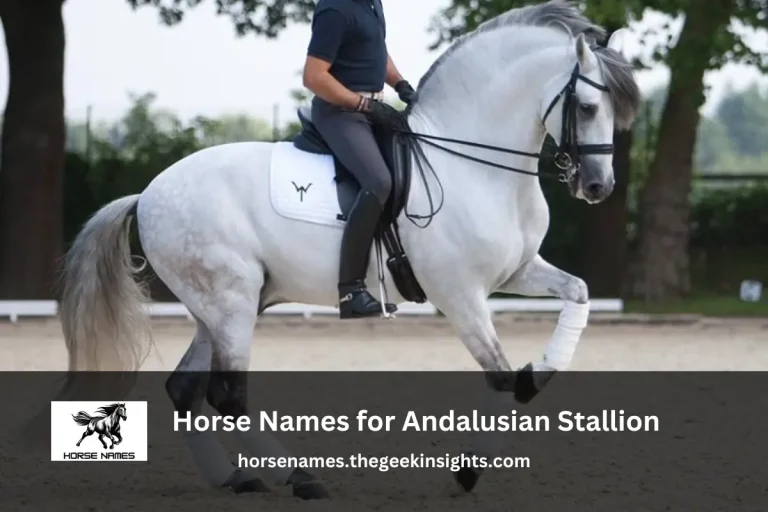 Top 150 Elegant And Unique Brown Horse Names