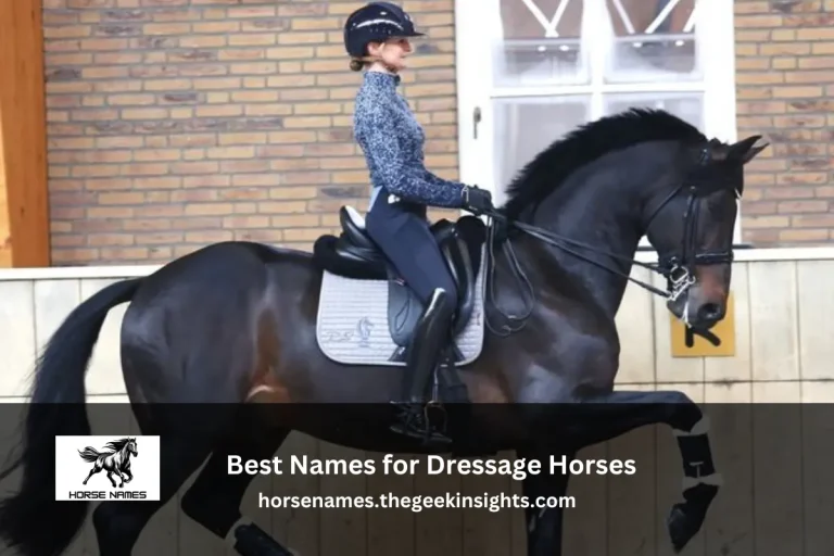 Racehorse Names: A Guide to Unique and Memorable Choices