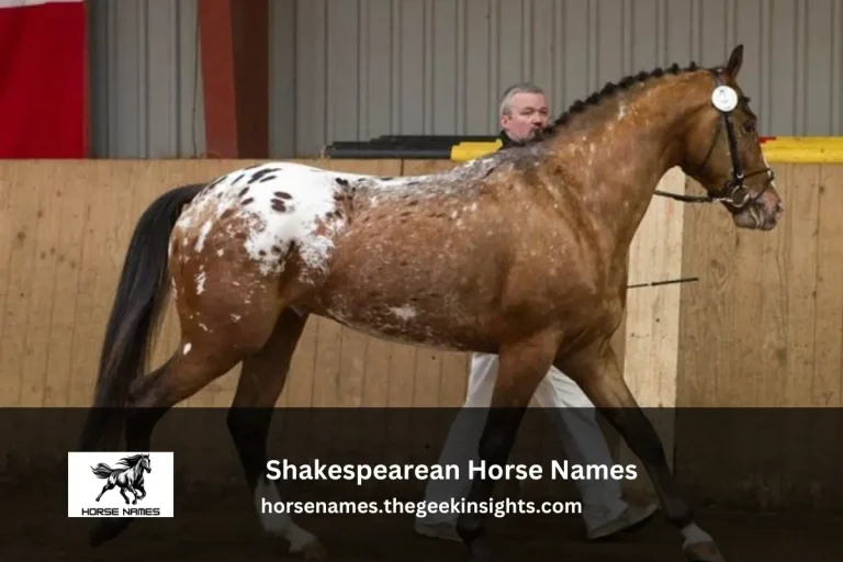 Best Names for Thoroughbred Horses - Horse Names