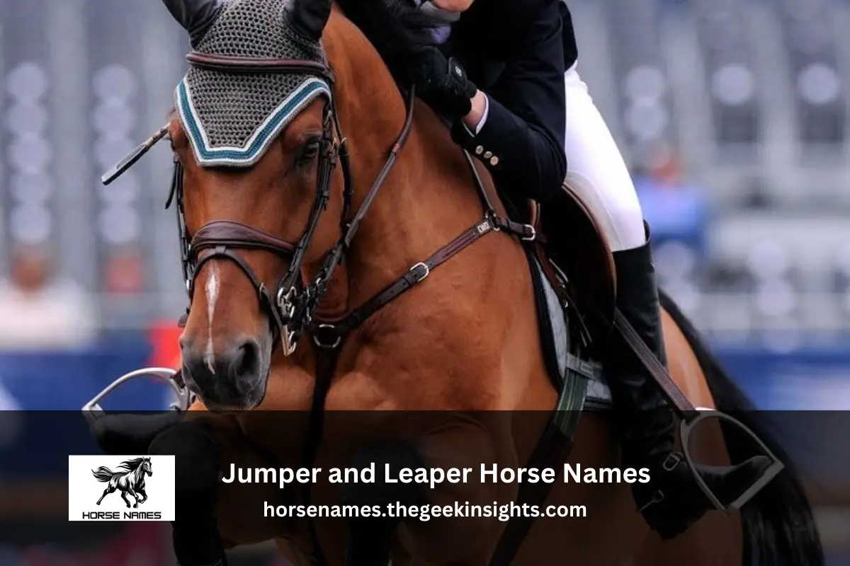 Jumper and Leaper Horse Names - Horse Names