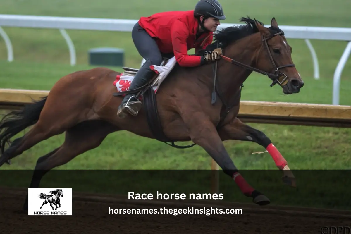 Race horse names - Horse Names