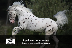 Magical and Enchanting Horse Names - Horse Names